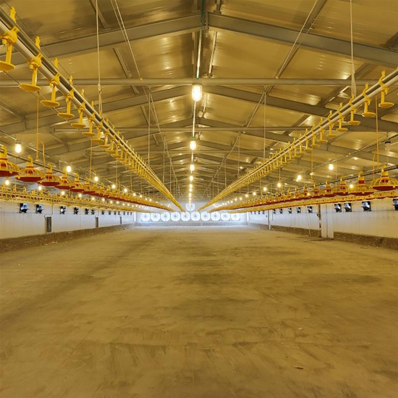 Broiler Ground System