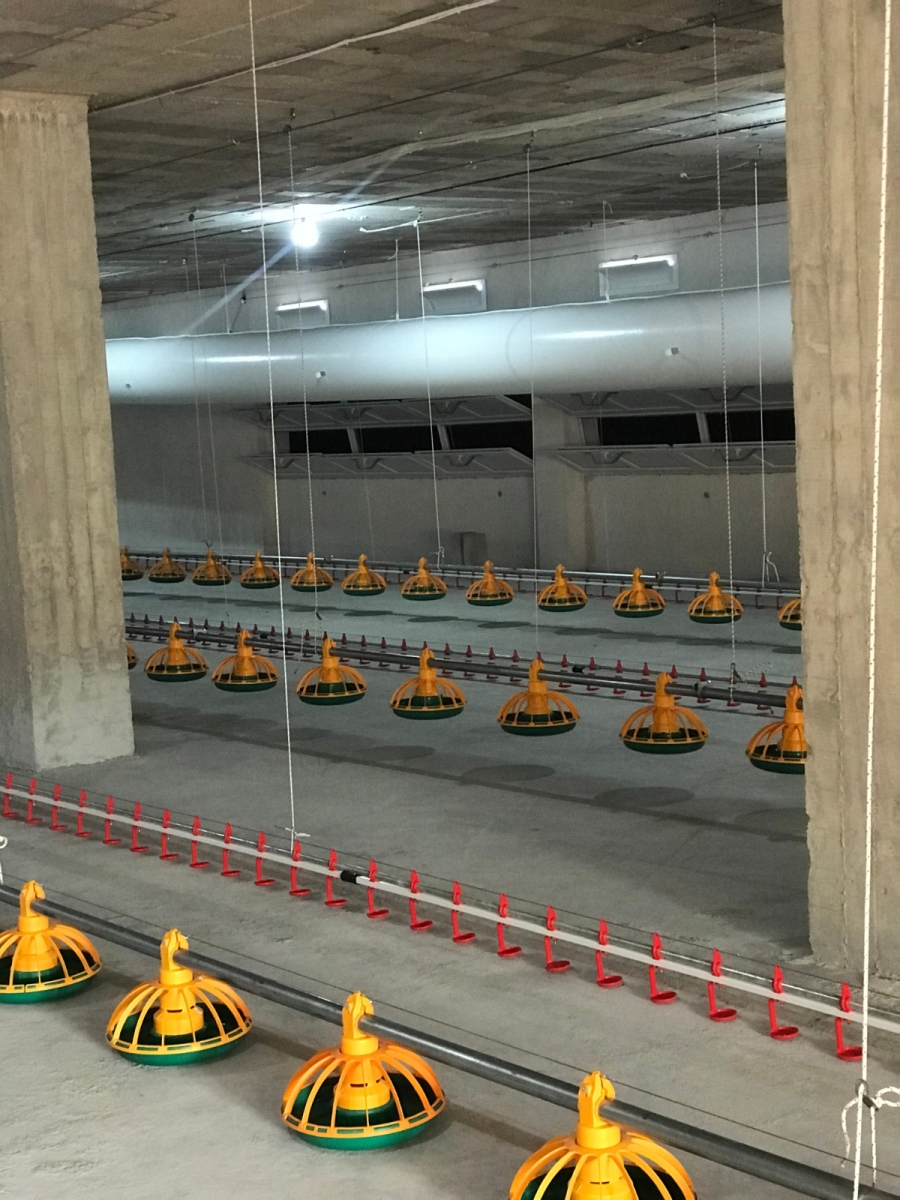 Broiler Ground System